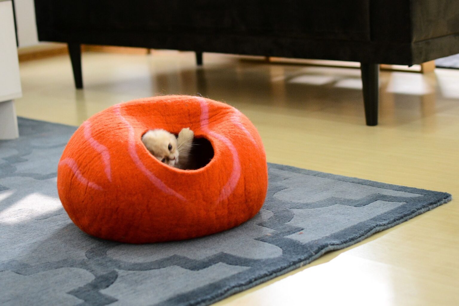The Benefits of Felt Caves for Cats: Why Felines Love Them?