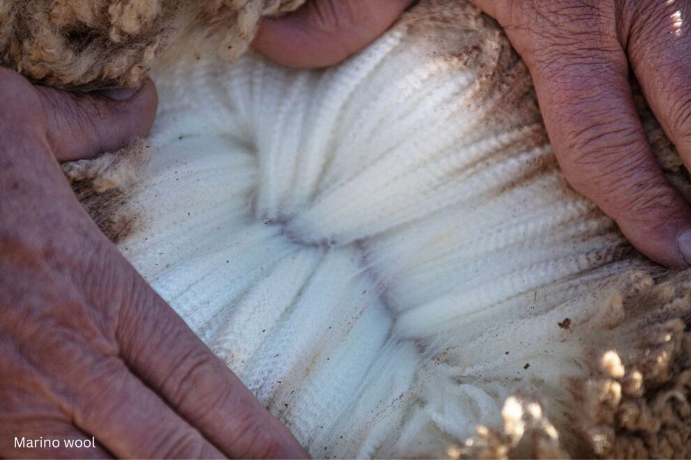 Does Wool Felt Stretch? Learn About Its Elasticity - Woollyfelt